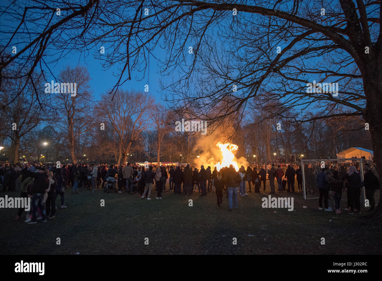 Traditional Swedish celebration of spring at Walpurgis night with ...