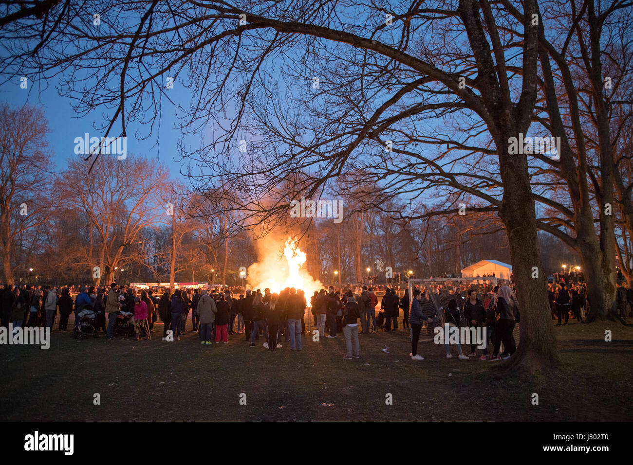 Traditional Swedish celebration of spring at Walpurgis night with ...