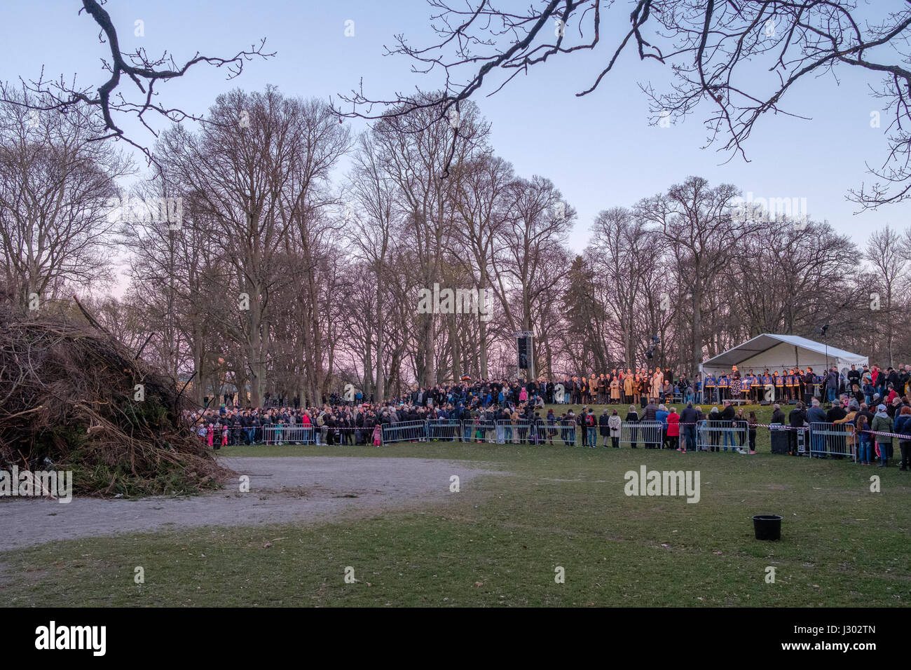 Traditional Swedish celebration of spring at Walpurgis night with ...