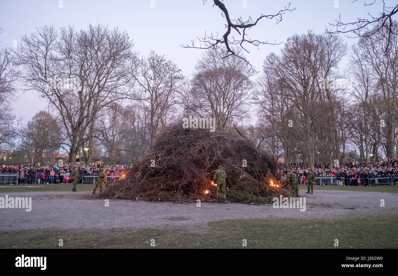 Traditional Swedish celebration of spring at Walpurgis night with ...