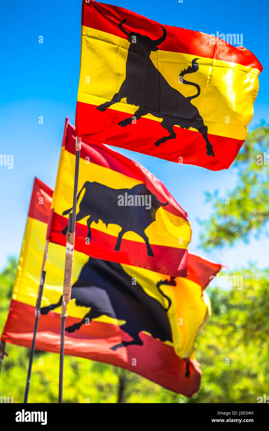 Spanish national official flags. Patriotic symbol Stock Photo - Alamy