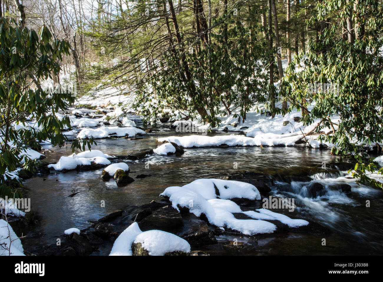 Mountain stream in winter Stock Photo - Alamy