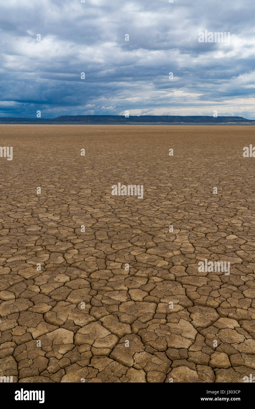 Desert landscape of Alvord desert in Oregon, with cracked, dried mud ...