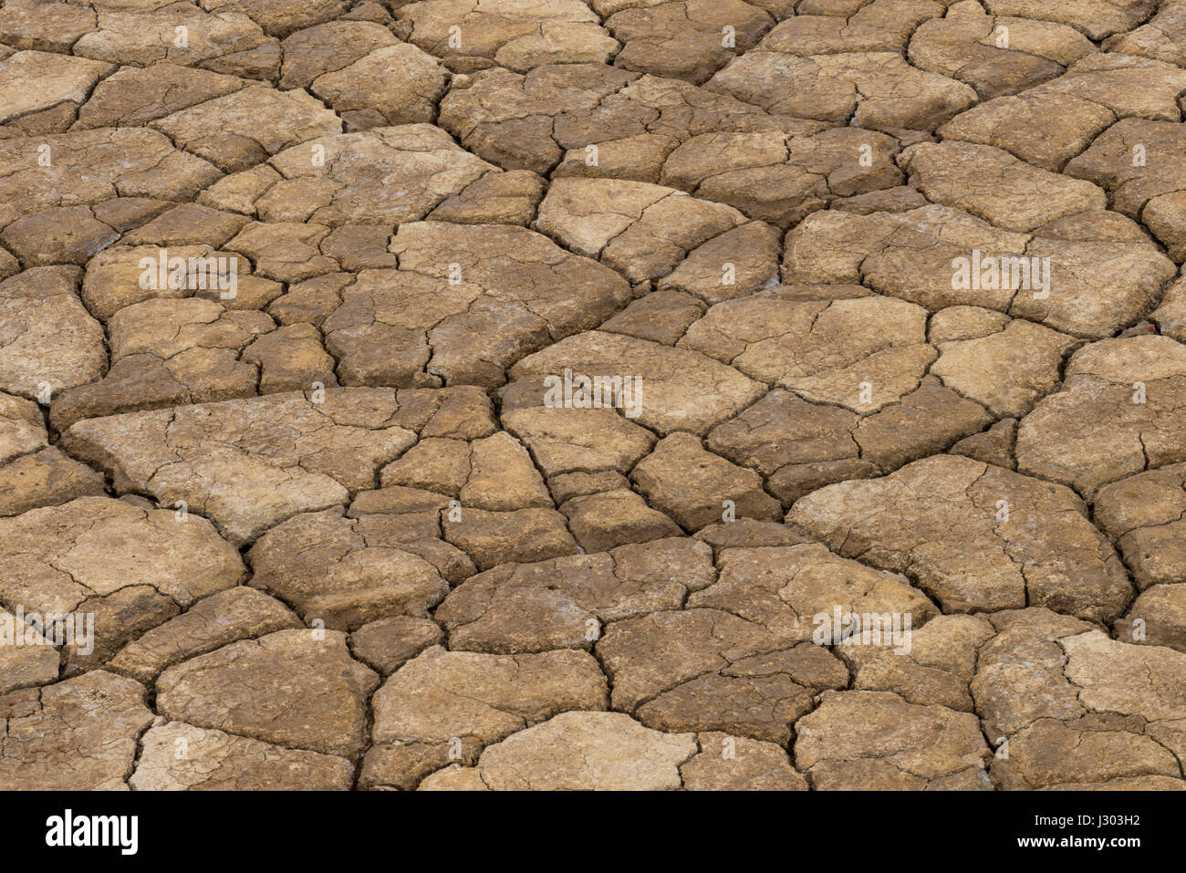 Detail of dried, cracked mud in the desert Stock Photo - Alamy