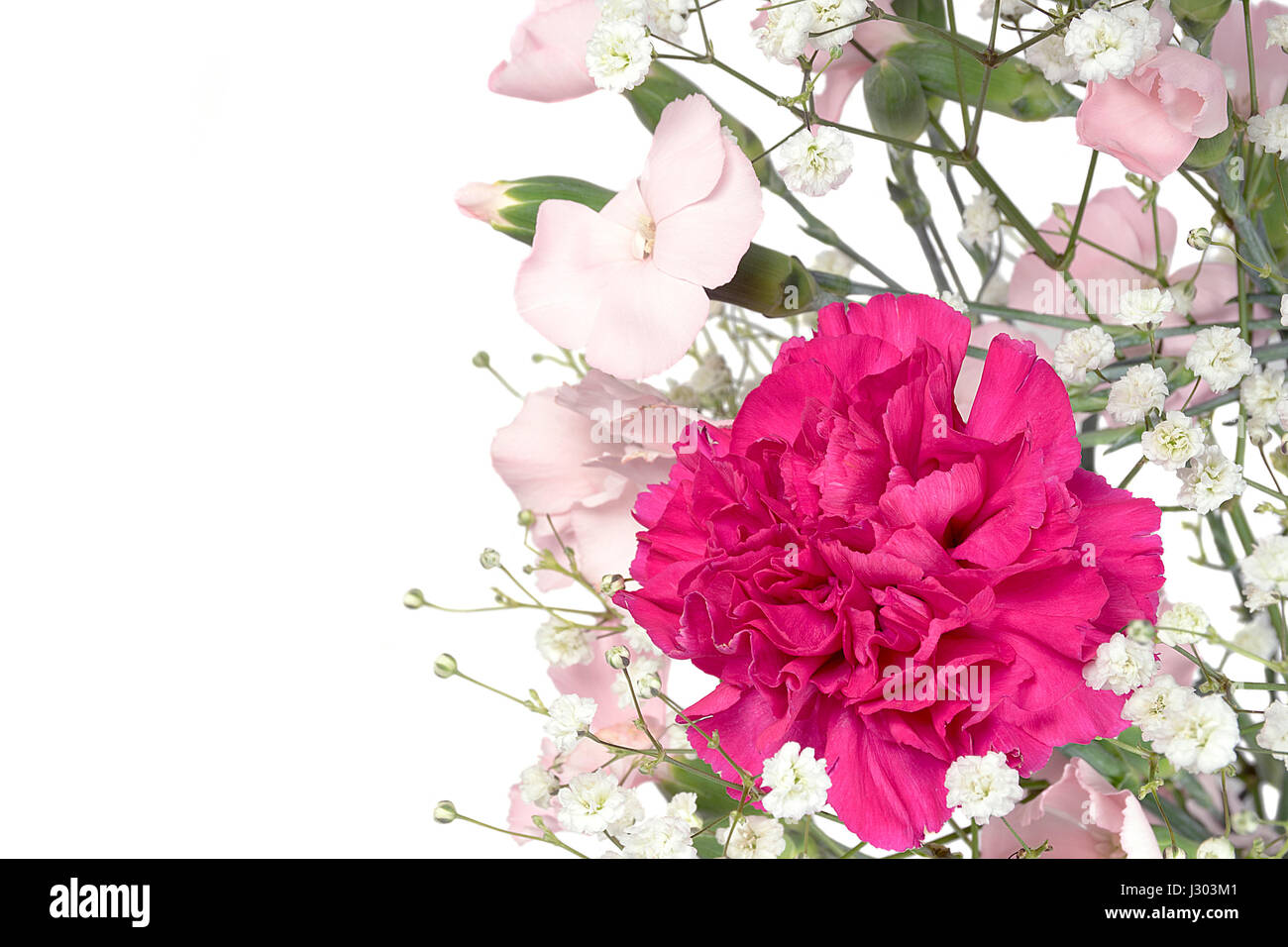 bright pink carnation in floral bouquet Stock Photo - Alamy