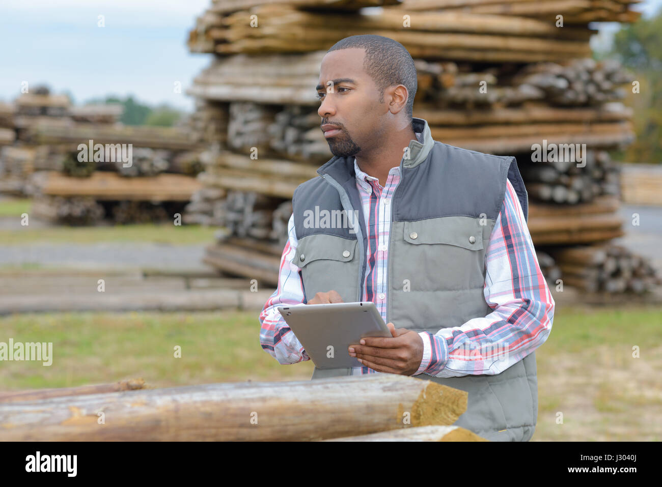 counting the pile of lumber Stock Photo - Alamy