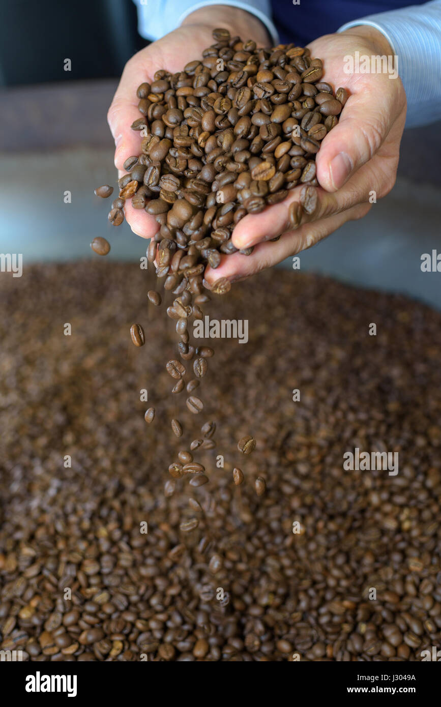 dried coffee beans Stock Photo - Alamy