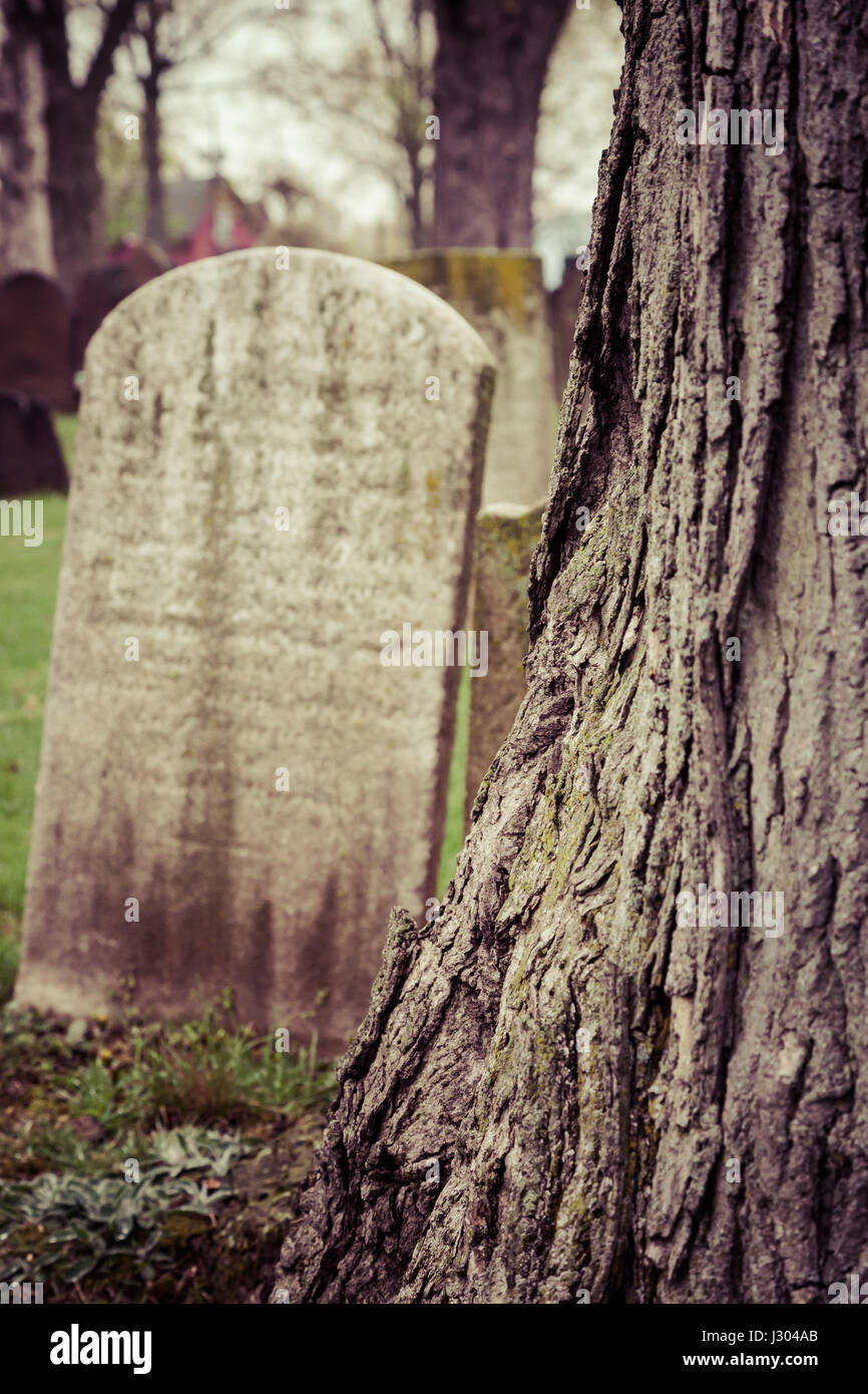 An old tombstone sits beside a tree Stock Photo - Alamy