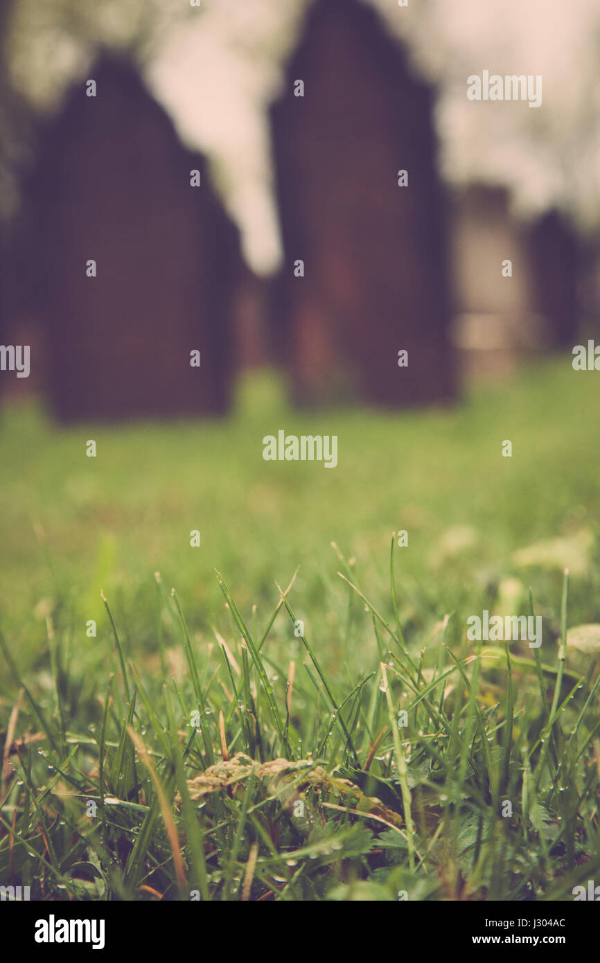 Two old brown tombstones are seen blurred in the distance. The focus is ...