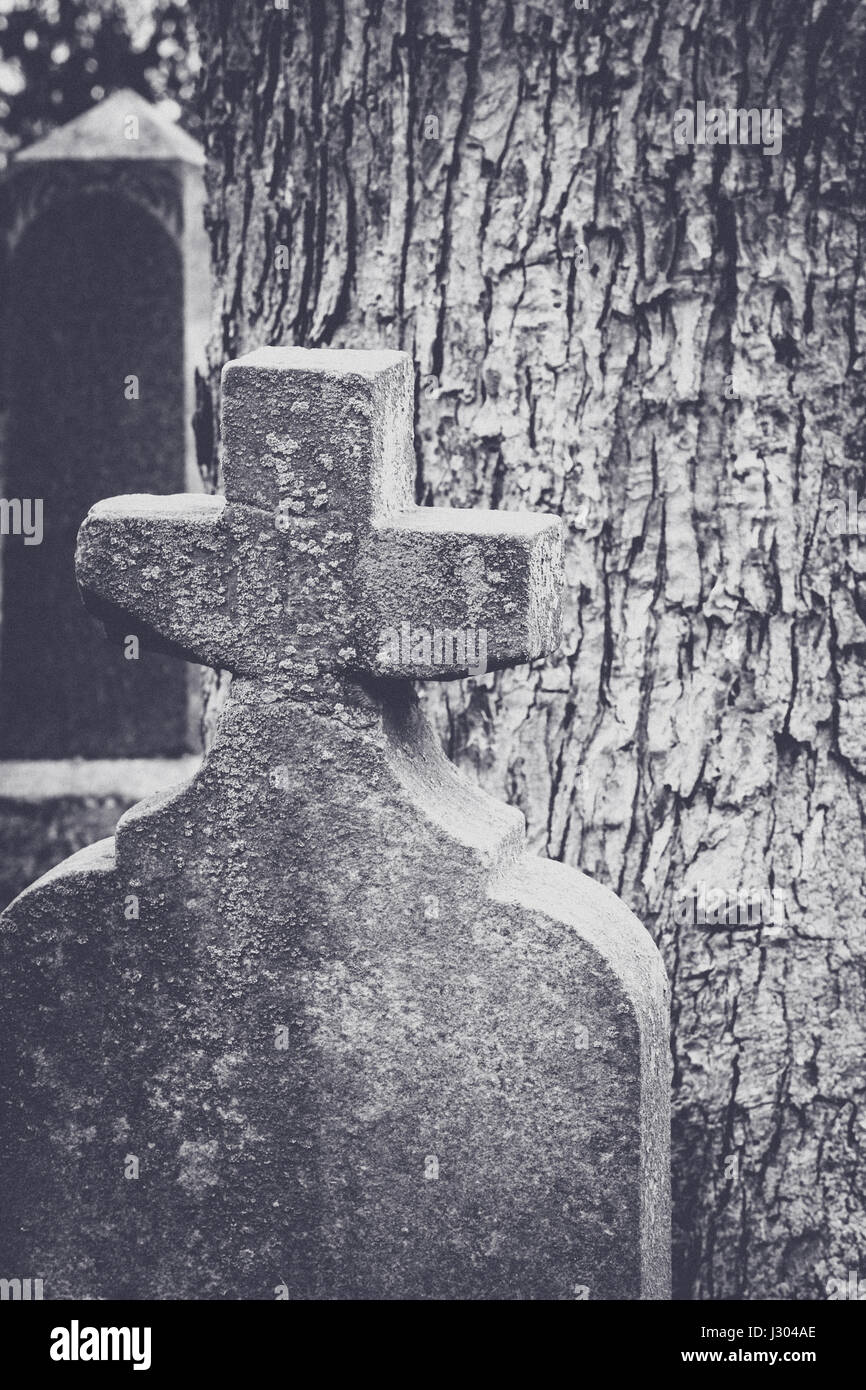 An old tombstone with a cross on top sits in front of a tree. The image ...