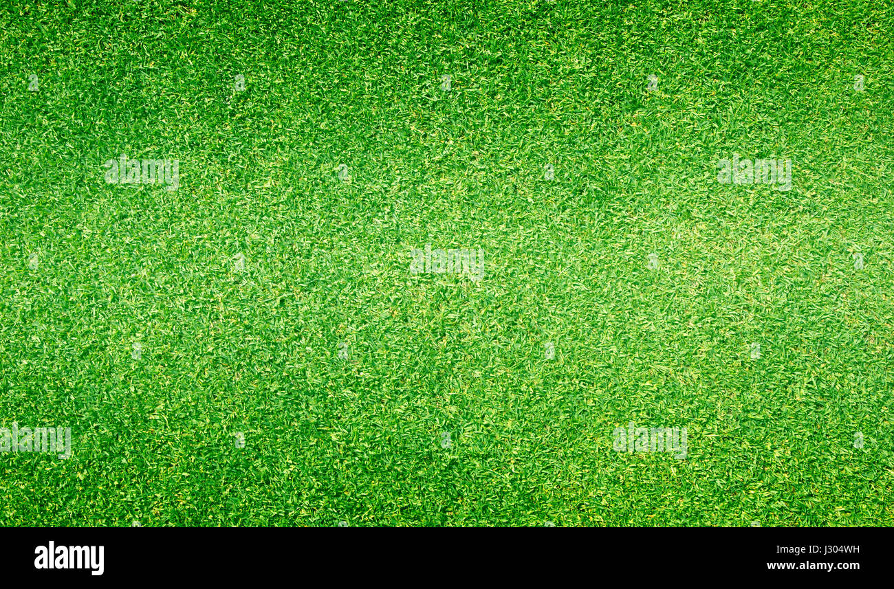 grass background Golf Courses green lawn pattern textured background ...