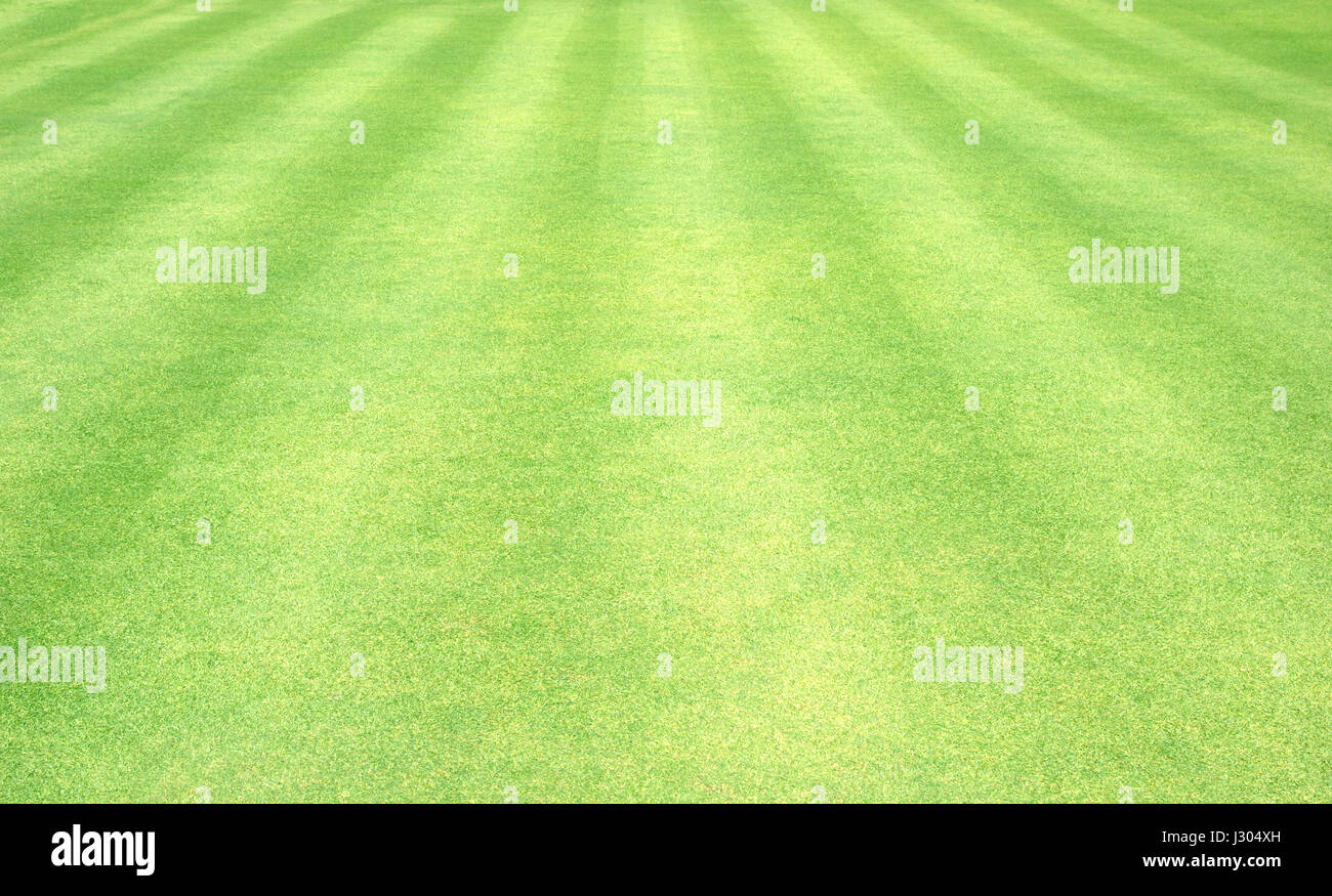 grass background Golf Courses green lawn pattern textured background ...