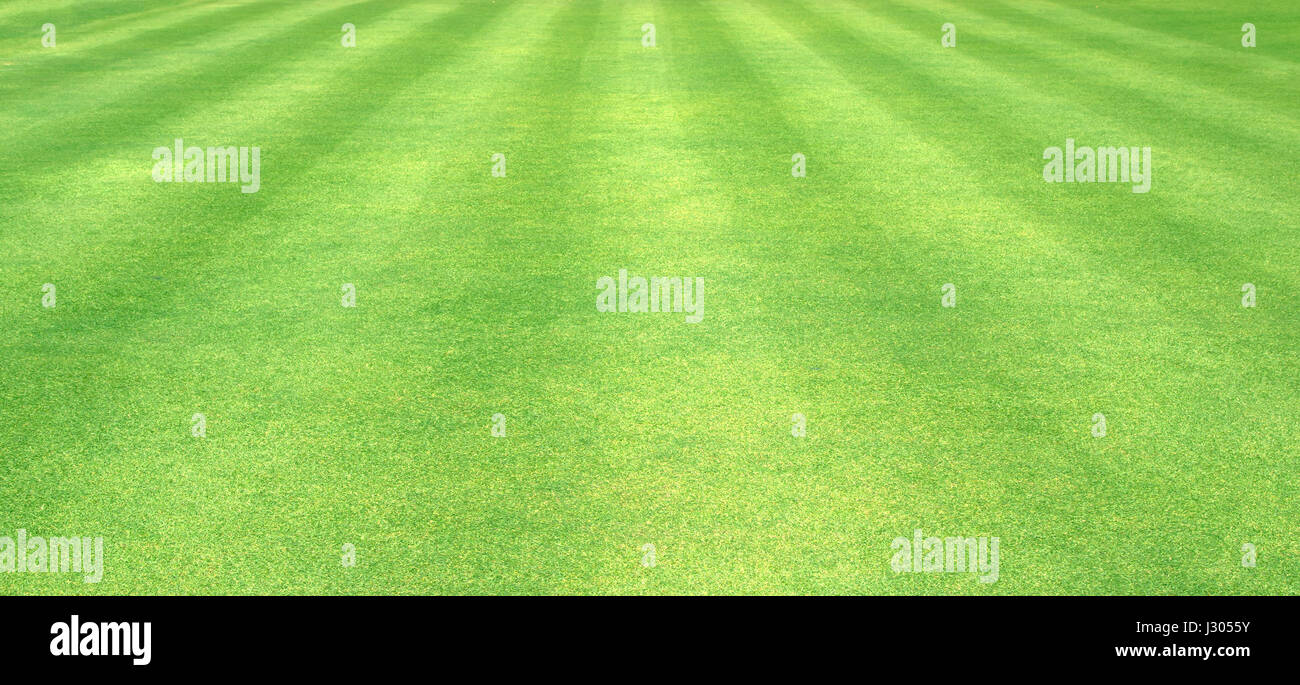 grass background Golf Courses green lawn pattern textured background ...
