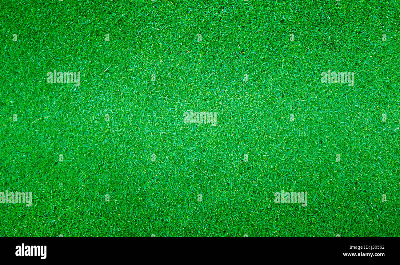 grass background Golf Courses green lawn pattern textured background ...