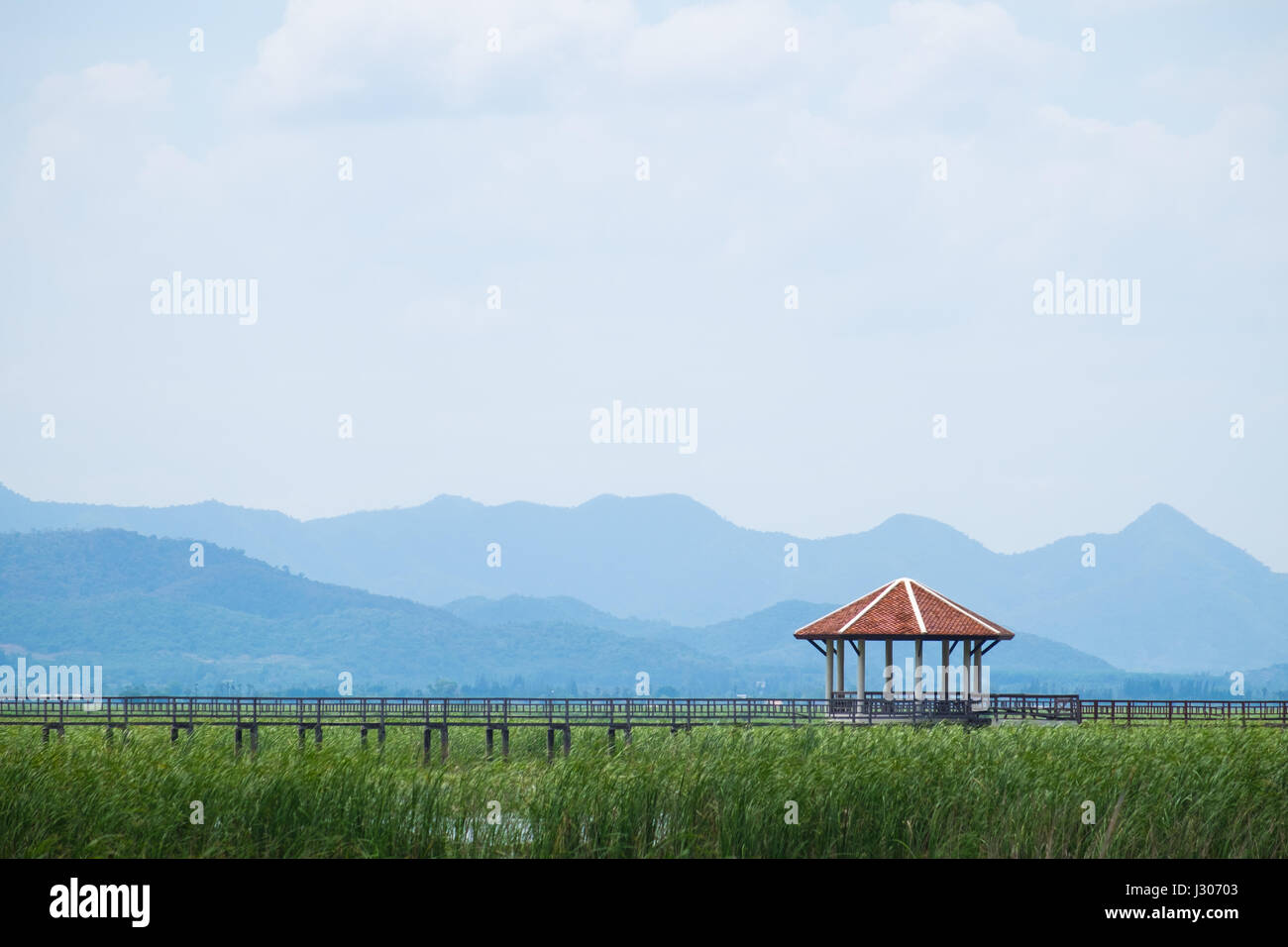 Small Pavillion on wooden bridge in swamp with grass field with blue ...
