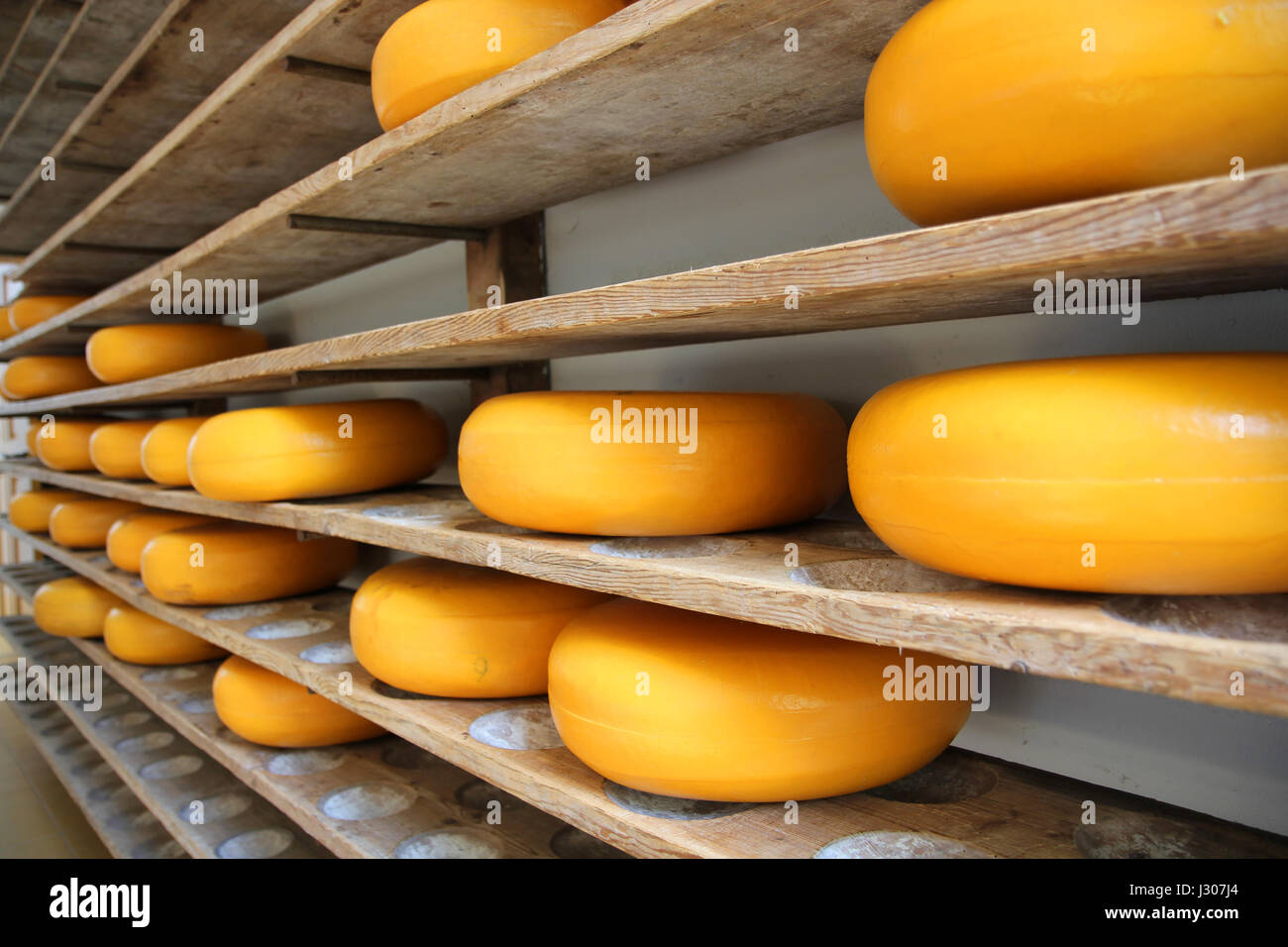 Cheese rack in refining in Gouda, Holland (The Netherlands Stock Photo ...