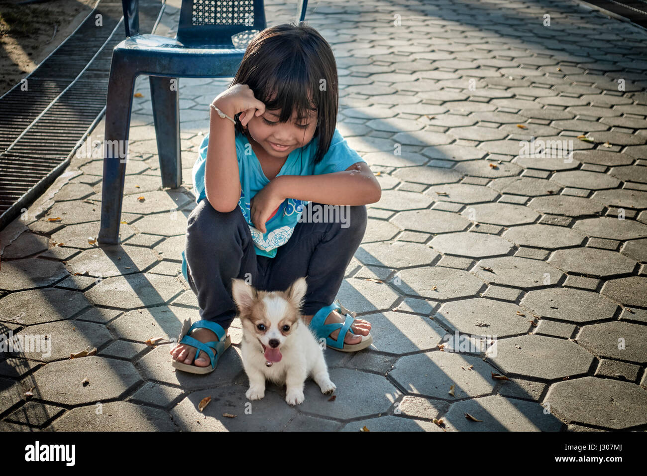 Dog and child. Delighted young child with her new puppy dog Stock Photo ...