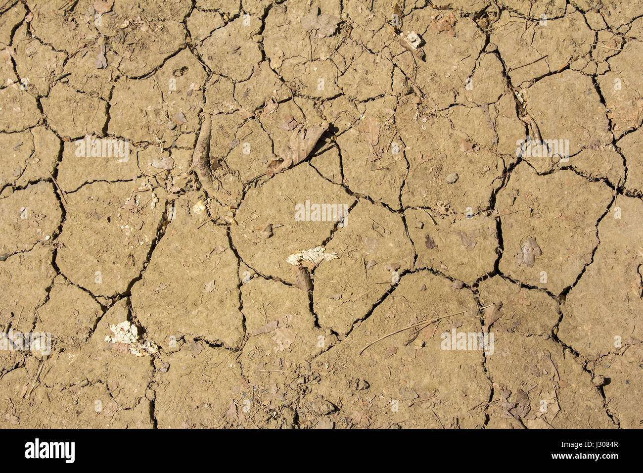 Dry Cracked ground and leaves as nature background Stock Photo - Alamy