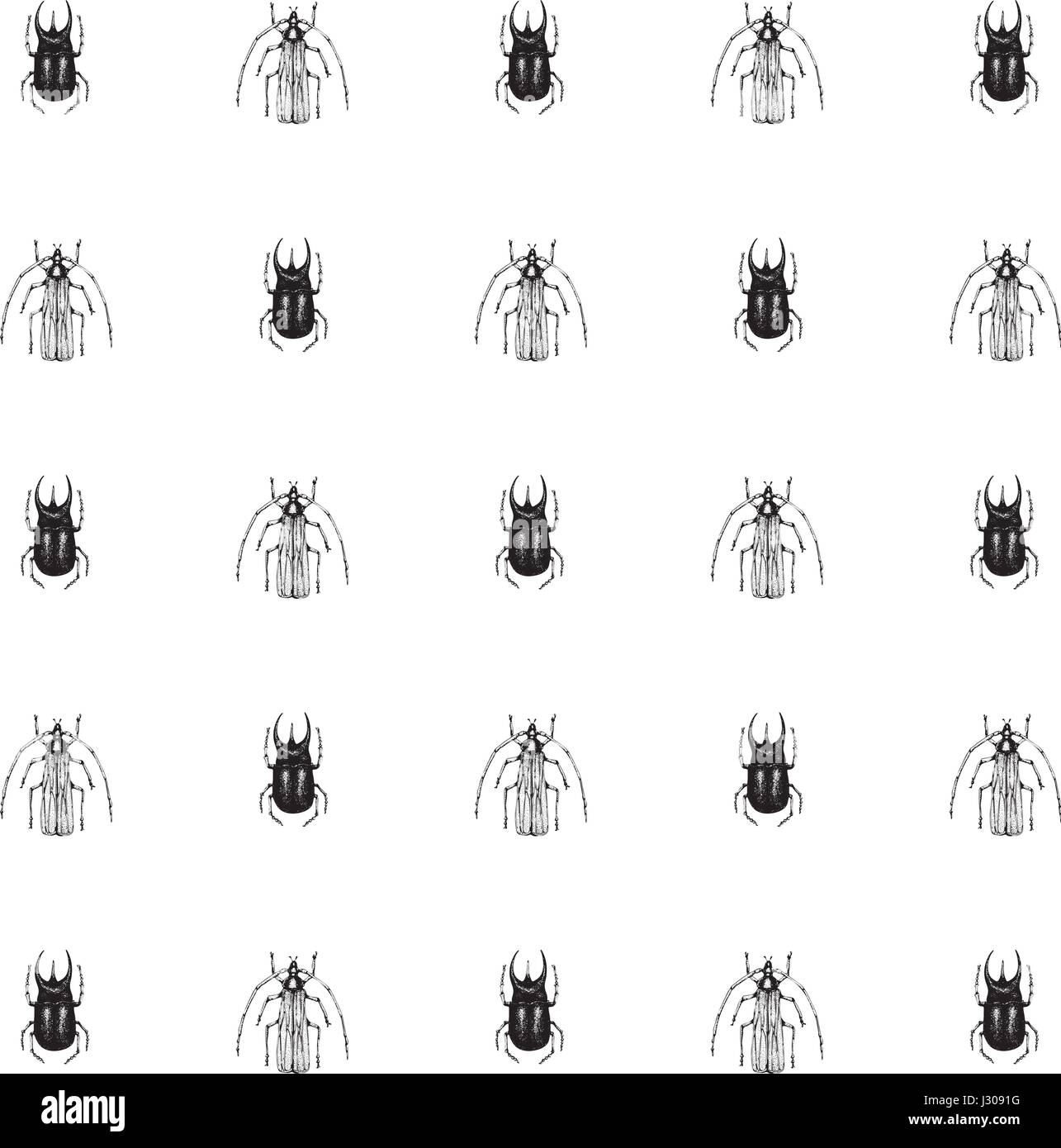 Vector retro hand drawn seamless vector pattern with beetle, bug, dor ...