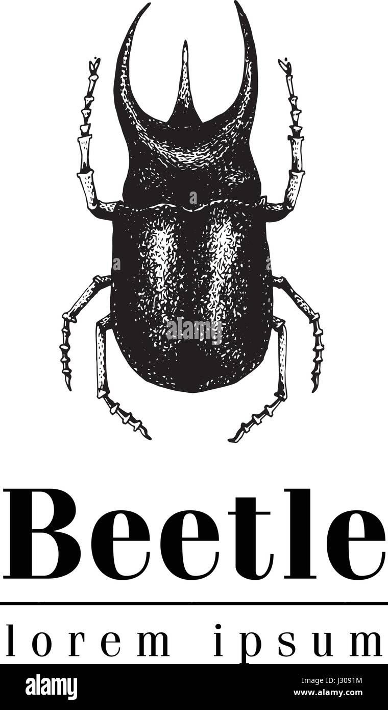 Bug logo hi-res stock photography and images - Alamy