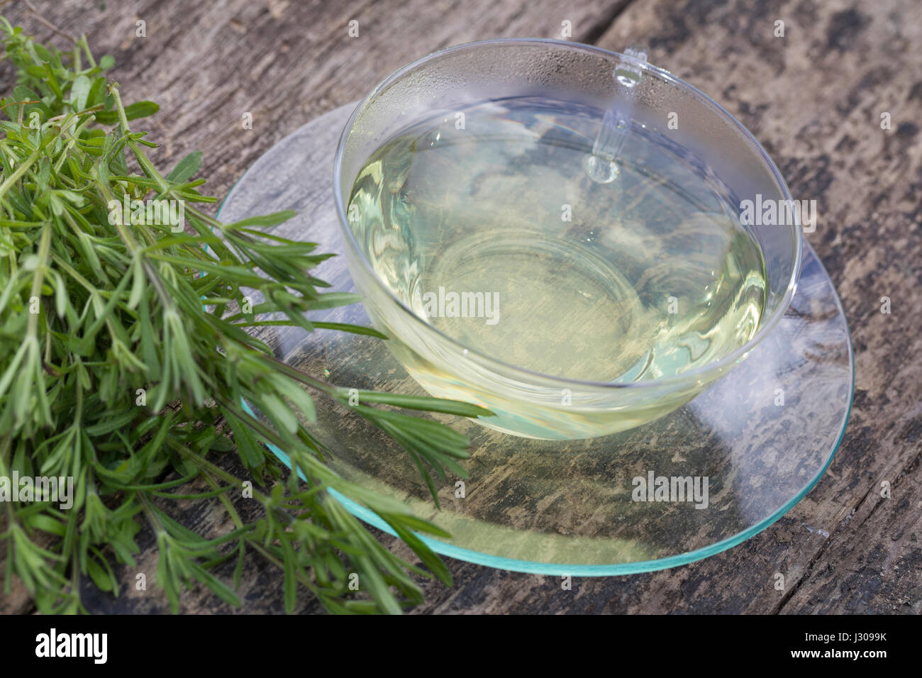 Klettenlabkraut-Tee, Tee, Kräutertee, Heiltee aus Kletten-Labkraut ...