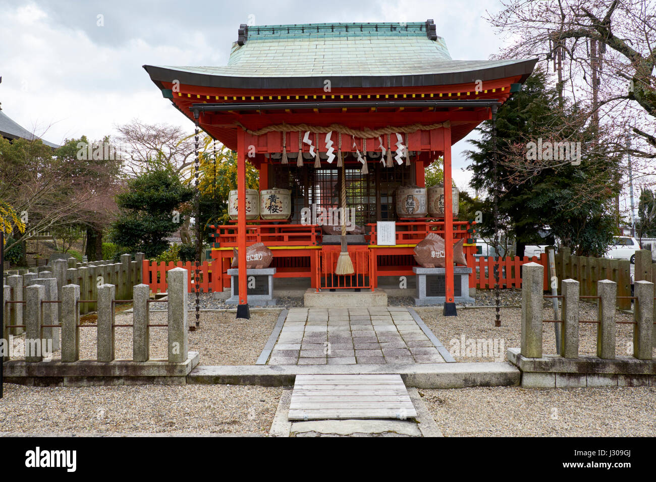 Nogi hi-res stock photography and images - Alamy