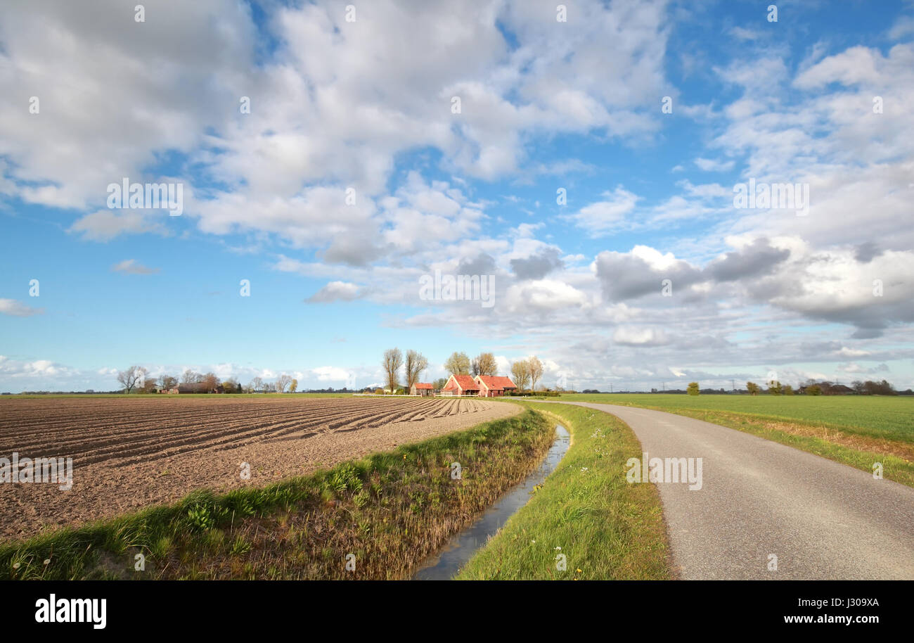 beautiful blue sky over Dutch farmland, Netherlands Stock Photo - Alamy