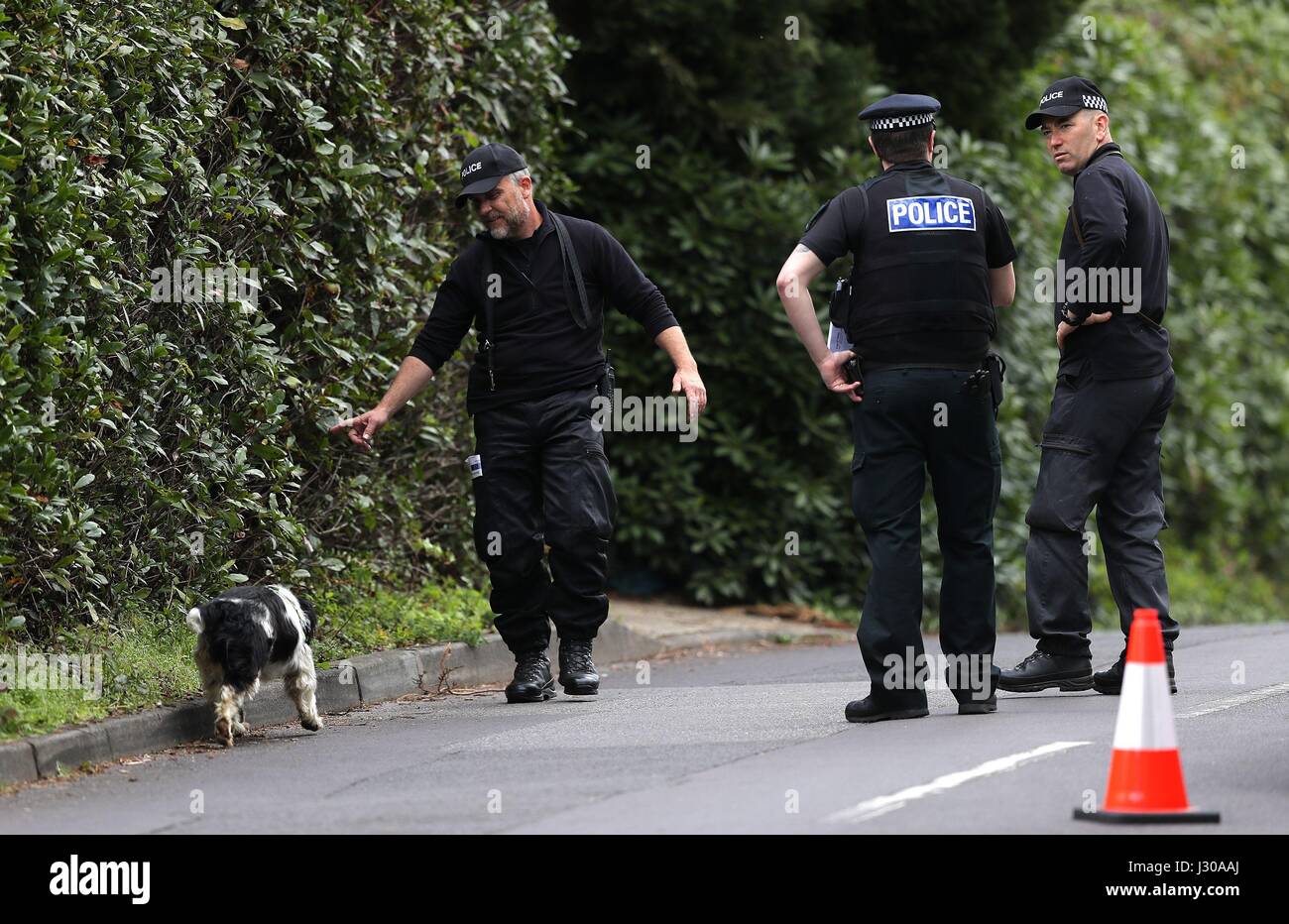 A police search dog on davids lane hi-res stock photography and images ...