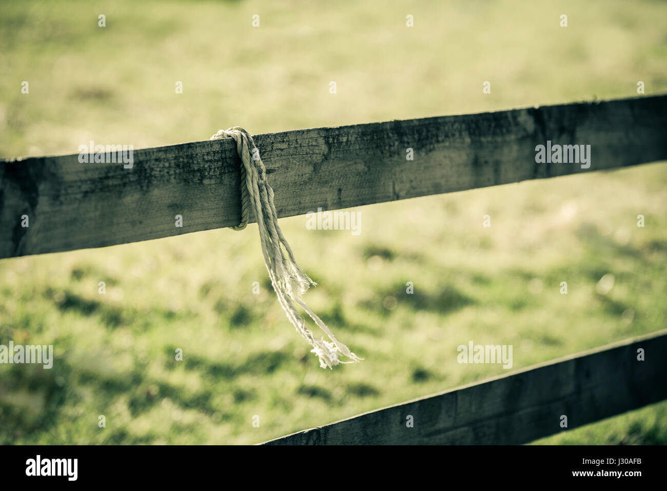 Abandoned rope hi-res stock photography and images - Alamy