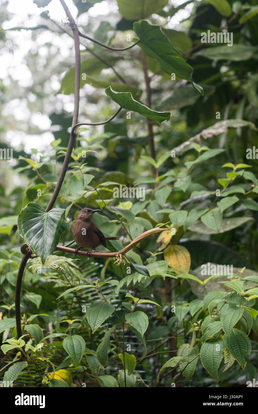 Birdwatching adventures hi-res stock photography and images - Alamy