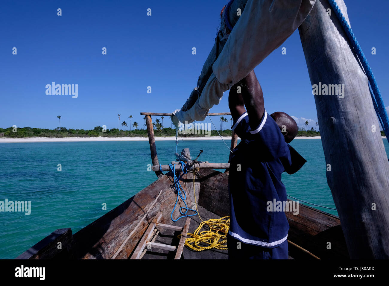 Boat crew trimming sails in a Dhow traditional sailing vessel at the ...
