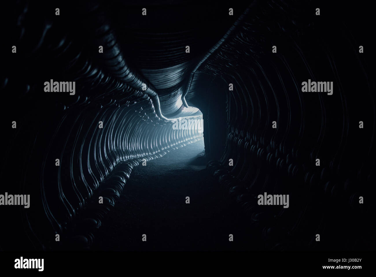 ALIEN: COVENANT, 2017. TM and copyright © Twentieth Century Fox Film ...