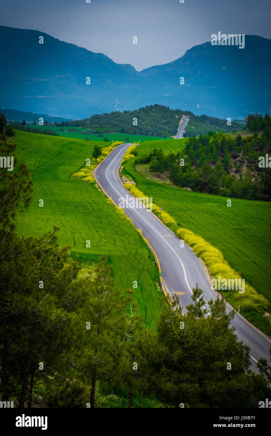 green road nature Stock Photo - Alamy