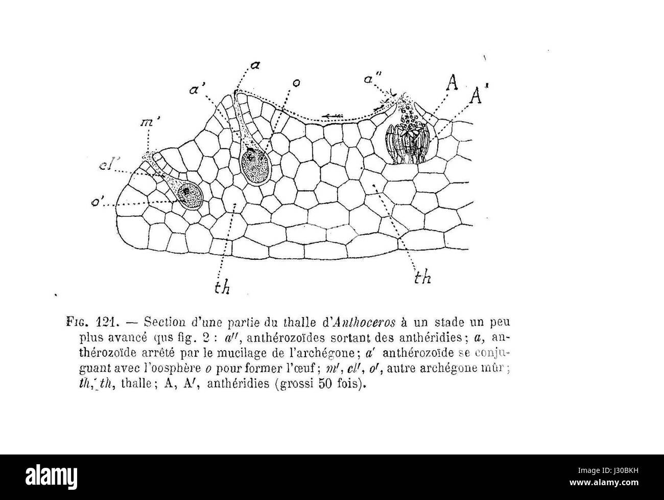 Shaded structure Black and White Stock Photos & Images - Alamy