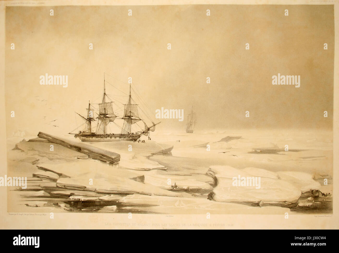 Pl 022 hi-res stock photography and images - Alamy