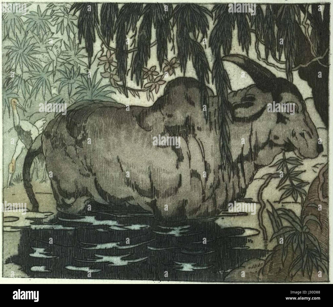 The jungle book illustration kipling hi-res stock photography and ...