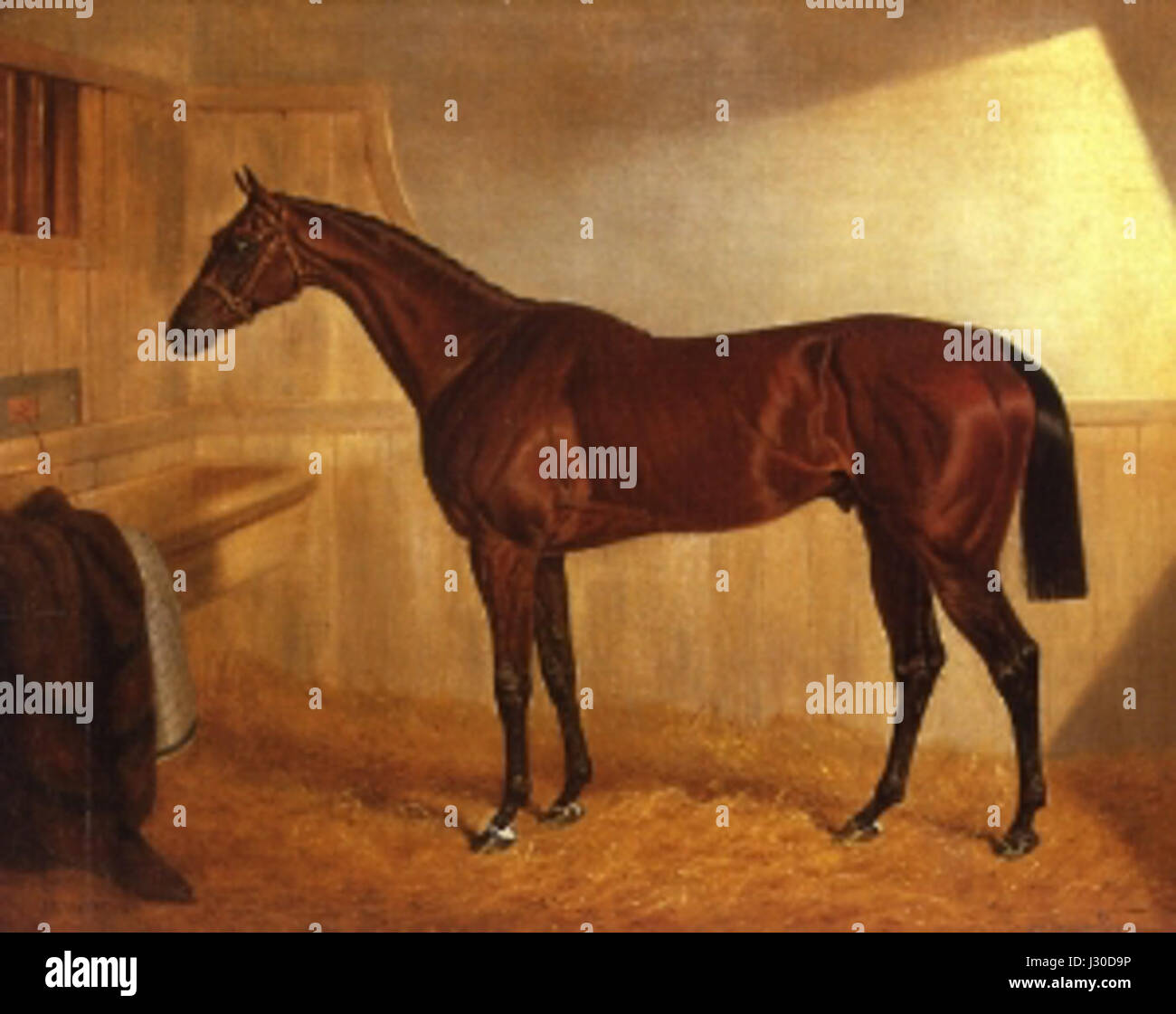 Bay Middleton was a famous English racehorse trainer and jockey known ...