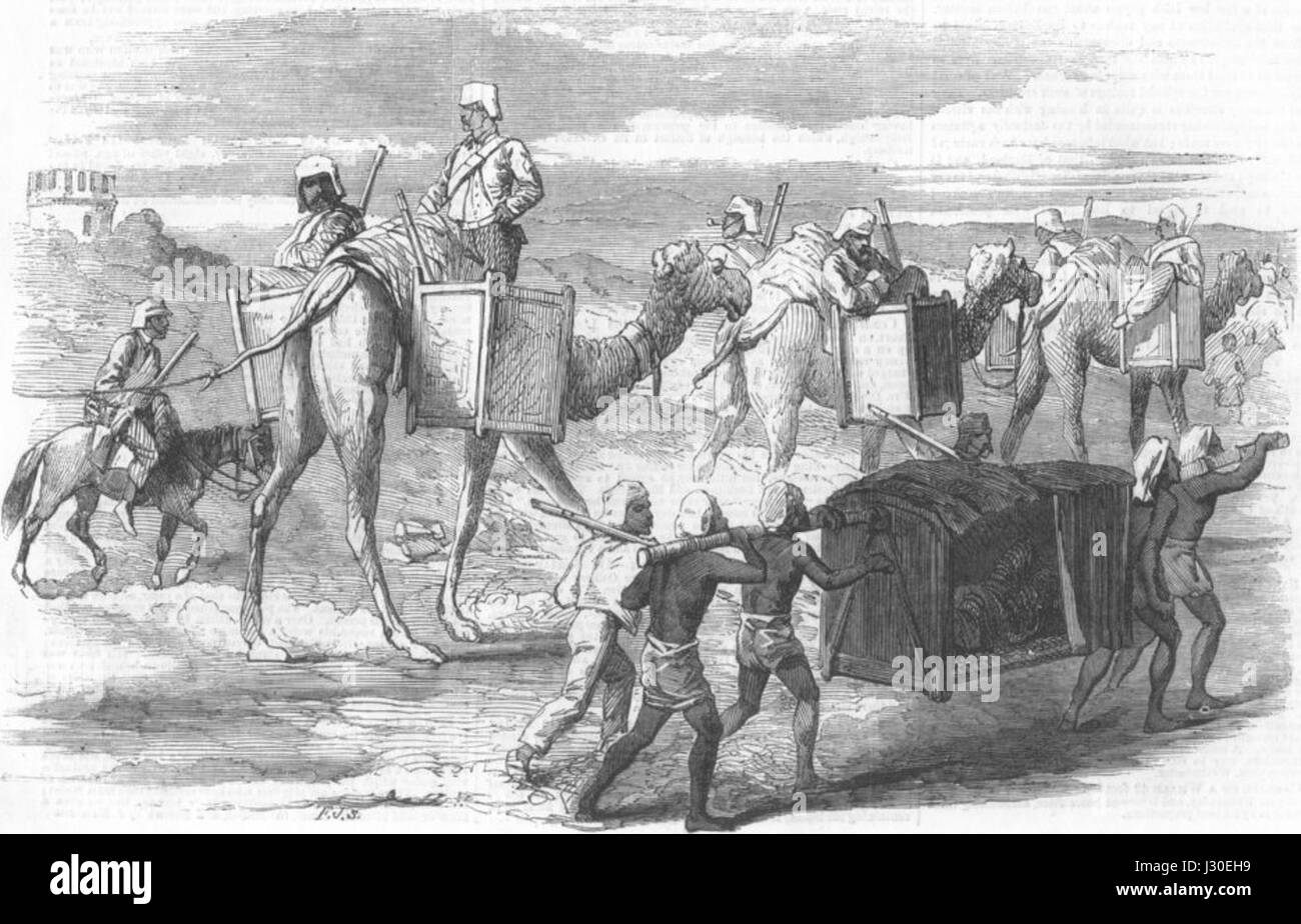 A camel convoy is a traditional method of transporting goods across ...