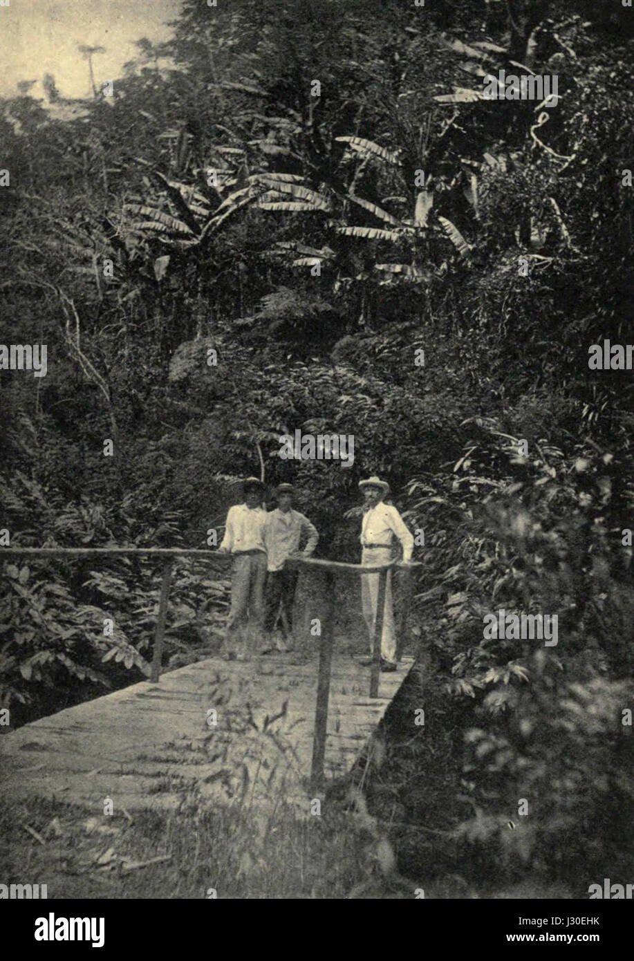 The artwork 'Bridge over a rivulet, Tahiti,' by Clement Lindley Wragge ...