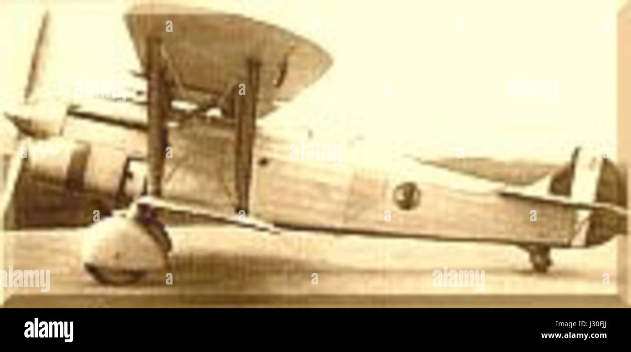 The Fiat CR.30 was an Italian biplane fighter aircraft used during the ...