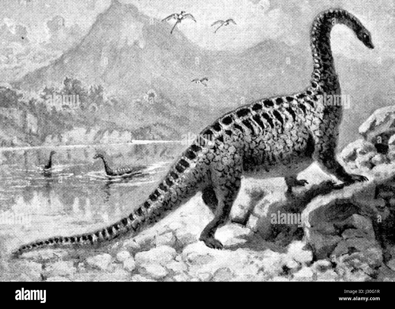 Dahlgren Black and White Stock Photos & Images - Alamy