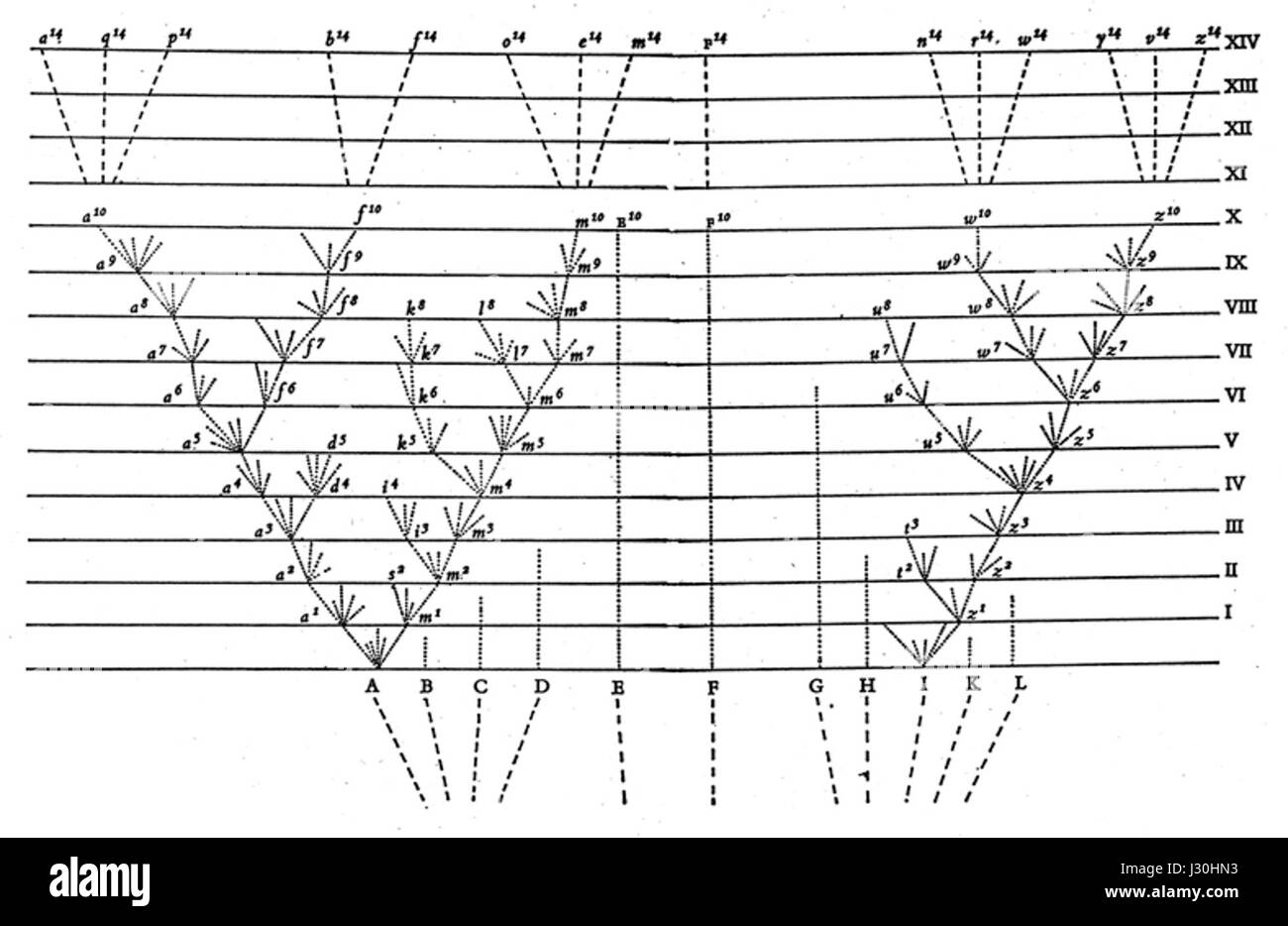 Charles darwin tree of life hi-res stock photography and images - Alamy