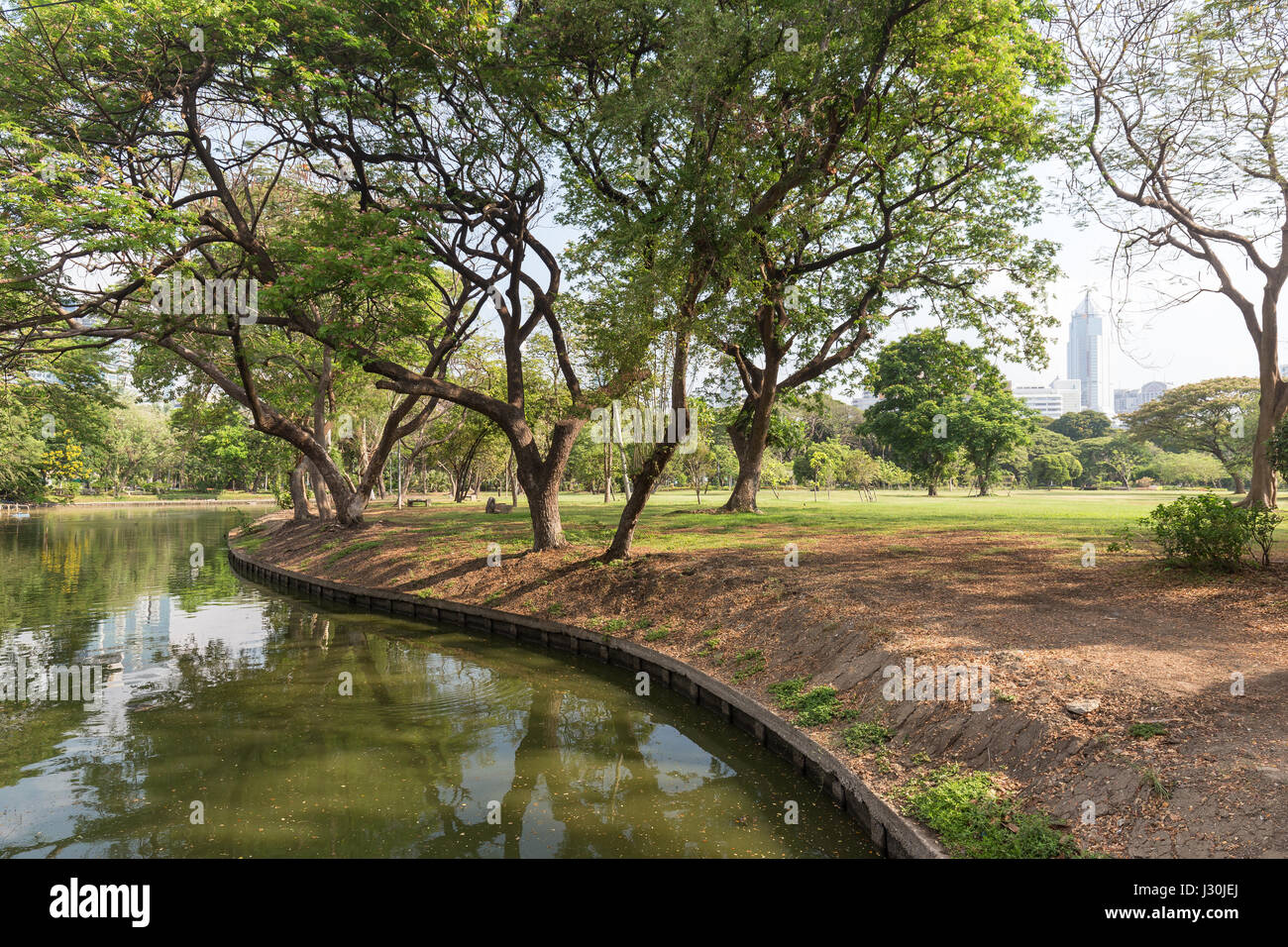 Bangkok river trees hi-res stock photography and images - Alamy