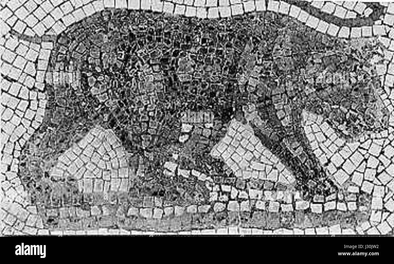 Atlasbear hi-res stock photography and images - Alamy