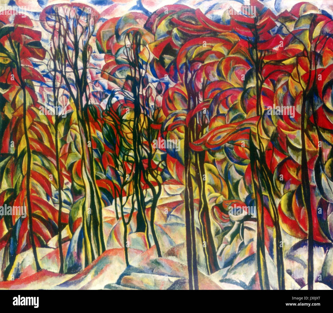 This image captures the beauty of autumn in Crotona Park, Bronx ...