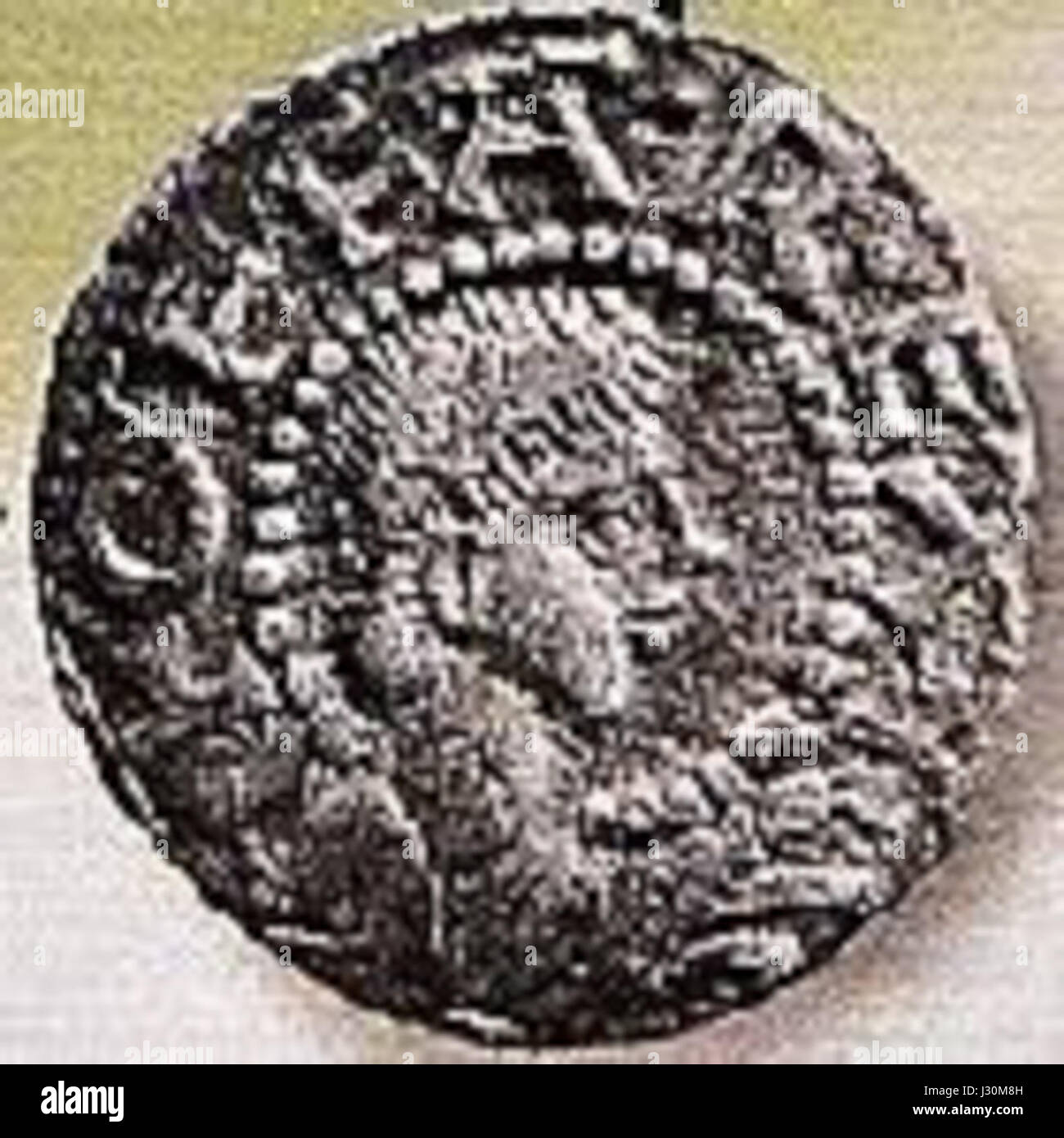 Bisen hi-res stock photography and images - Alamy