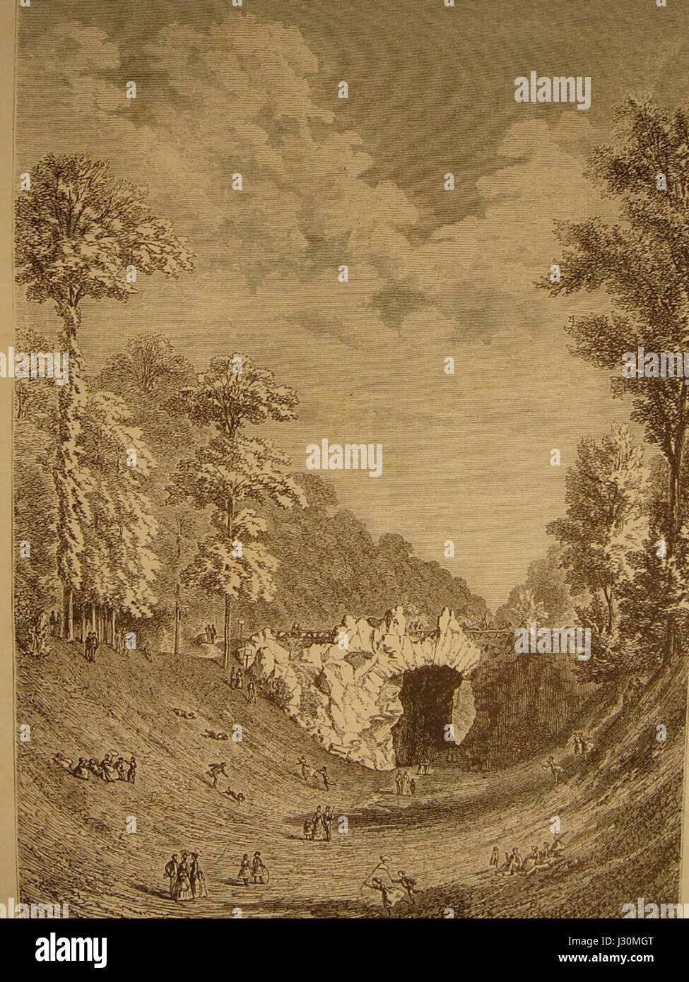 Bois de la Cambre Stock Photo - Alamy