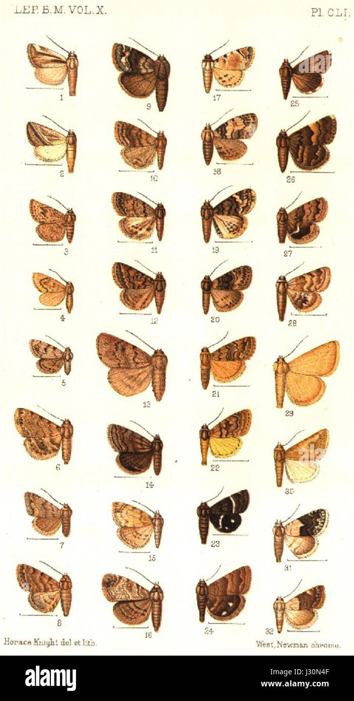 Item list catalogue hi-res stock photography and images - Alamy