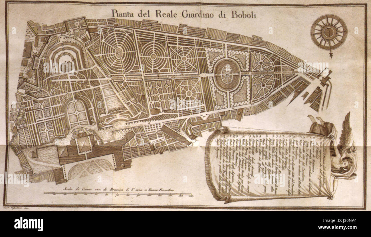 Pianta antica hi-res stock photography and images - Alamy