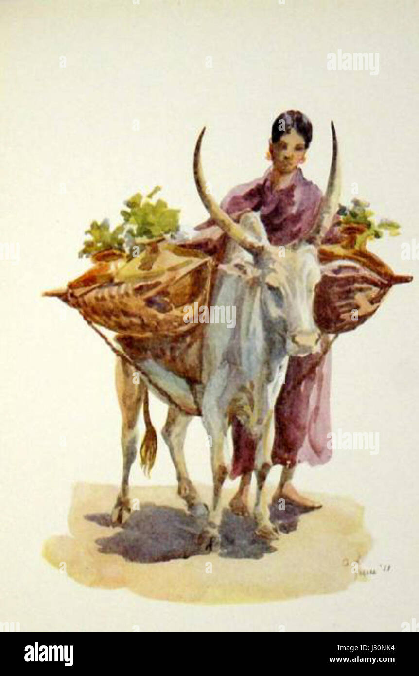 The term 'Canarese waterwoman' likely refers to a female water carrier ...